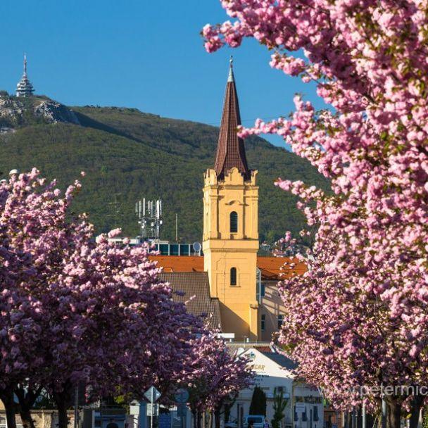 Bohoslužby - Turistické informačné centrum Nitra
